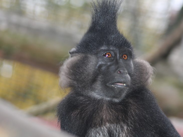 Zvířata Archív - Strana 12 z 20 - Zoo Jihlava