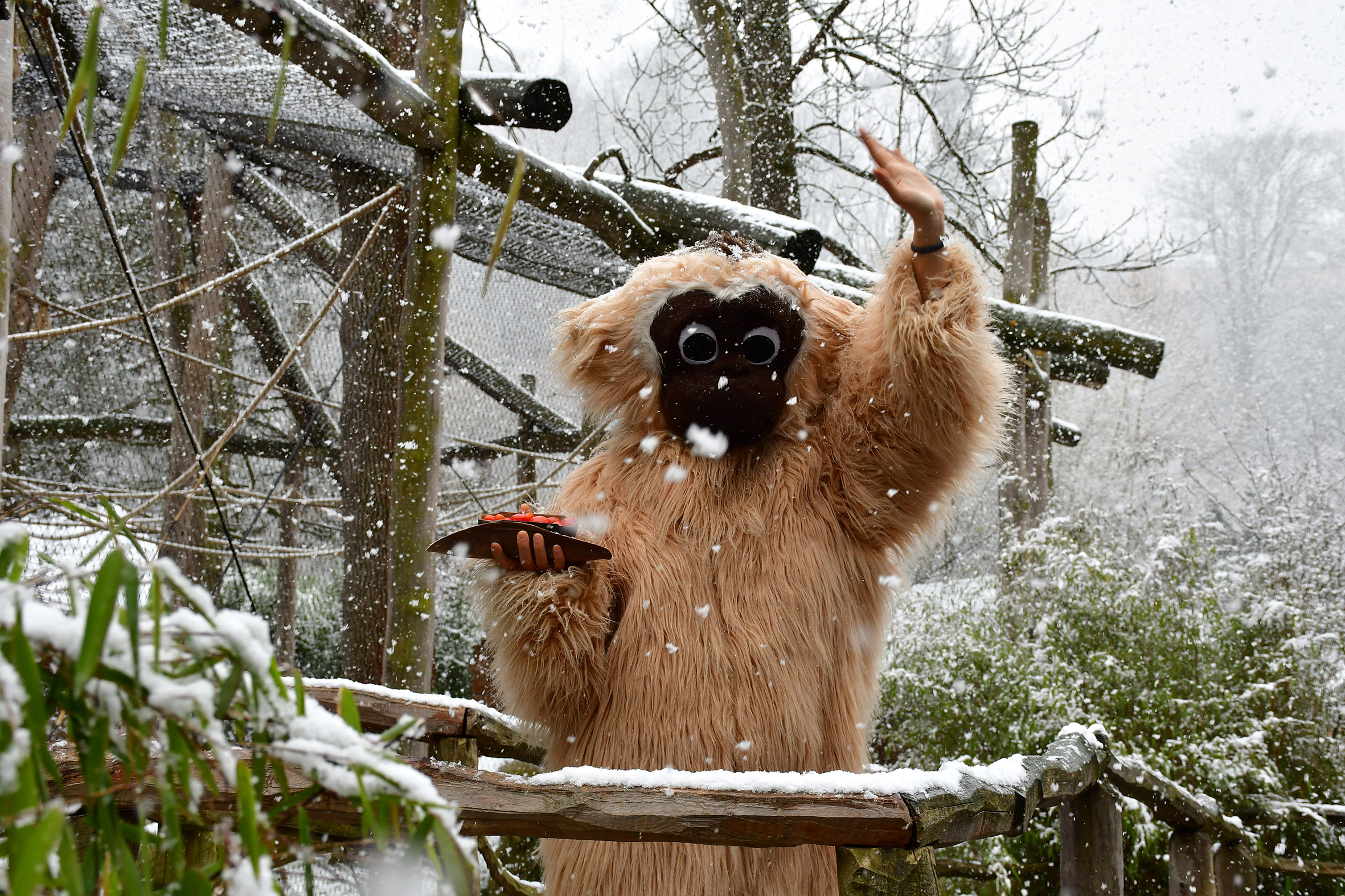 Masopust v zoo - Zoo Jihlava