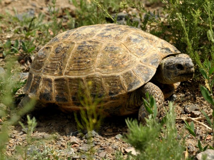 Máme otevřeno 365 dní v roce! - Zoo Jihlava